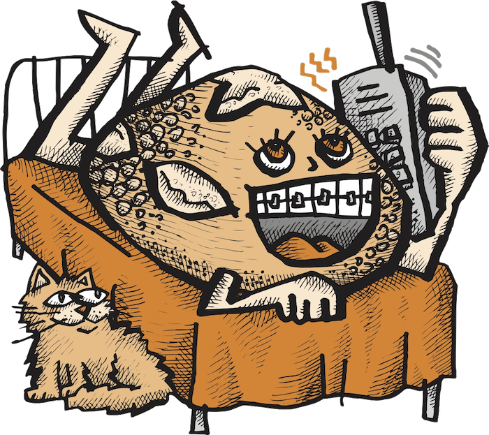 How to Give Great Customer Service Over the Phone - ZingTrain