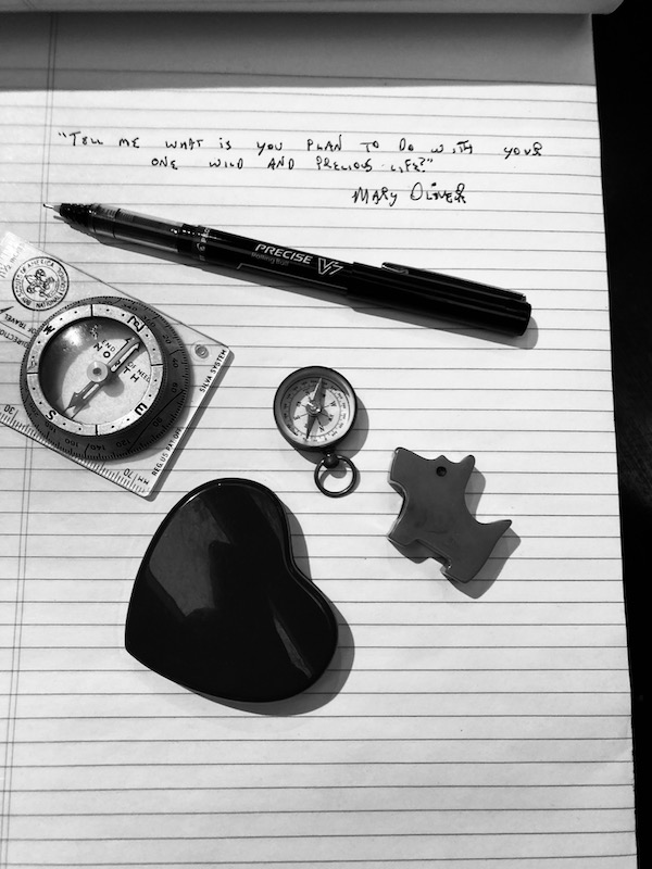 The Power of a Purposeful Path - ZingTrain