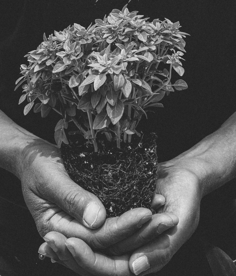 13 Ways Organizational Culture Can Enrich Your Company